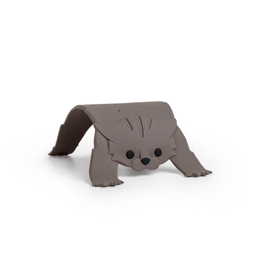 Scaredy Cat – Speranza Design Gallery